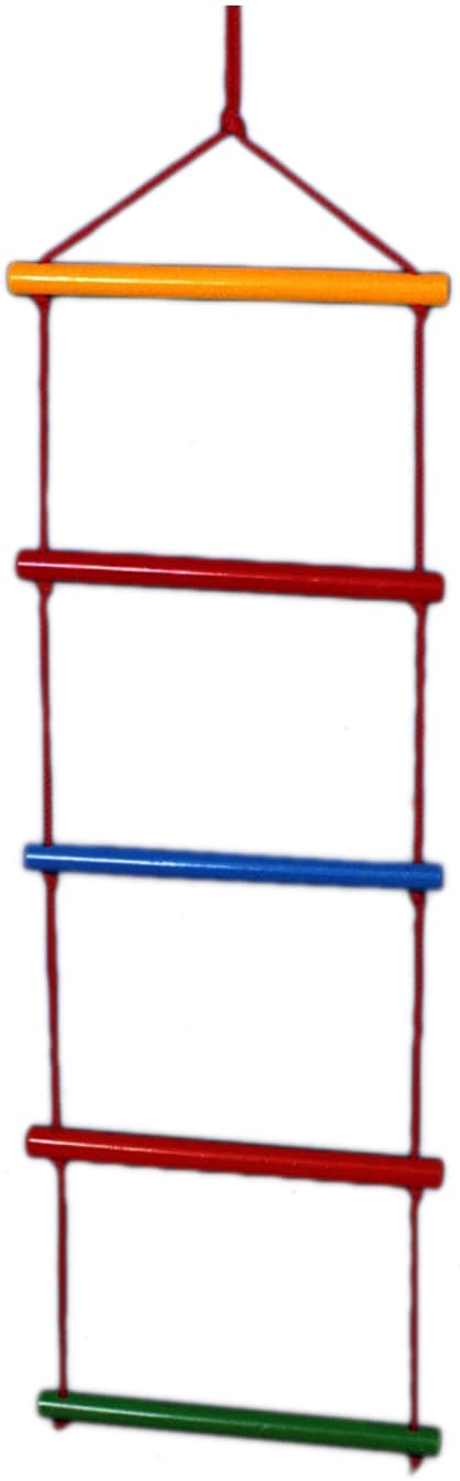 LADDER-7 STEP – SchoolWizardApp Pvt. Ltd.